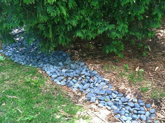 Summer Raingarden Maintenance Metro Blooms