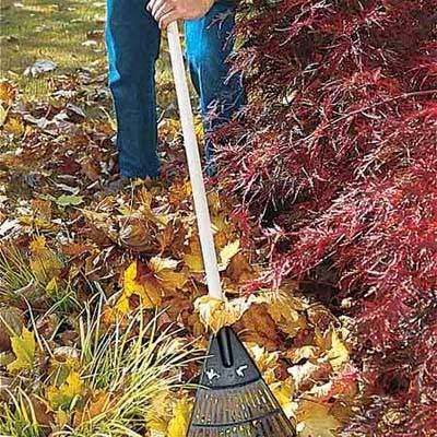 Fall Raingarden Maintenance Metro Blooms